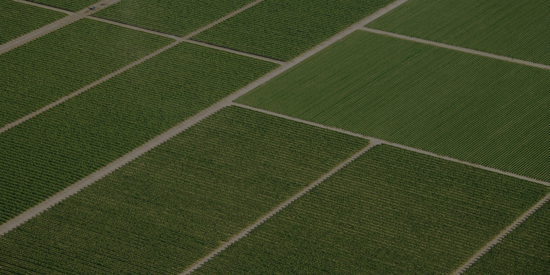 Sustainable Farming Practices | ATV Farms