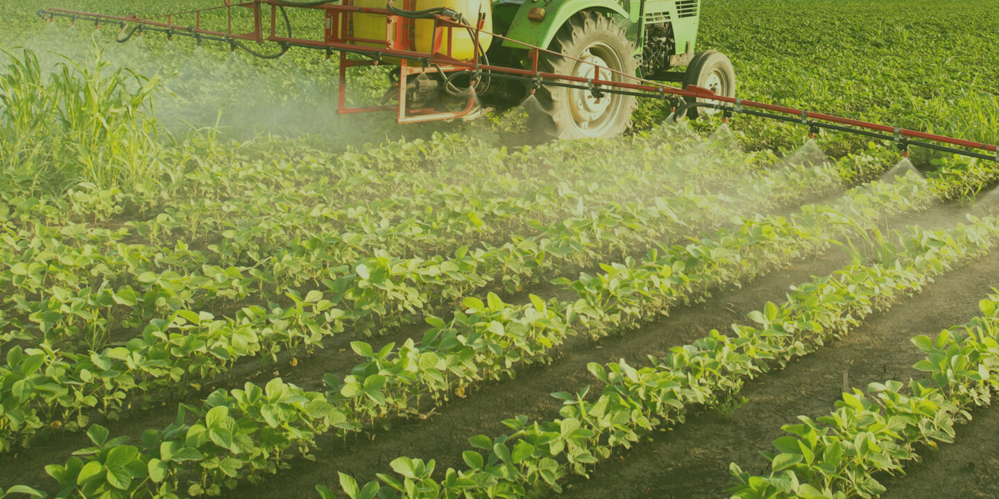 Farm-Fresh Wholesale Produce: ATV Farms