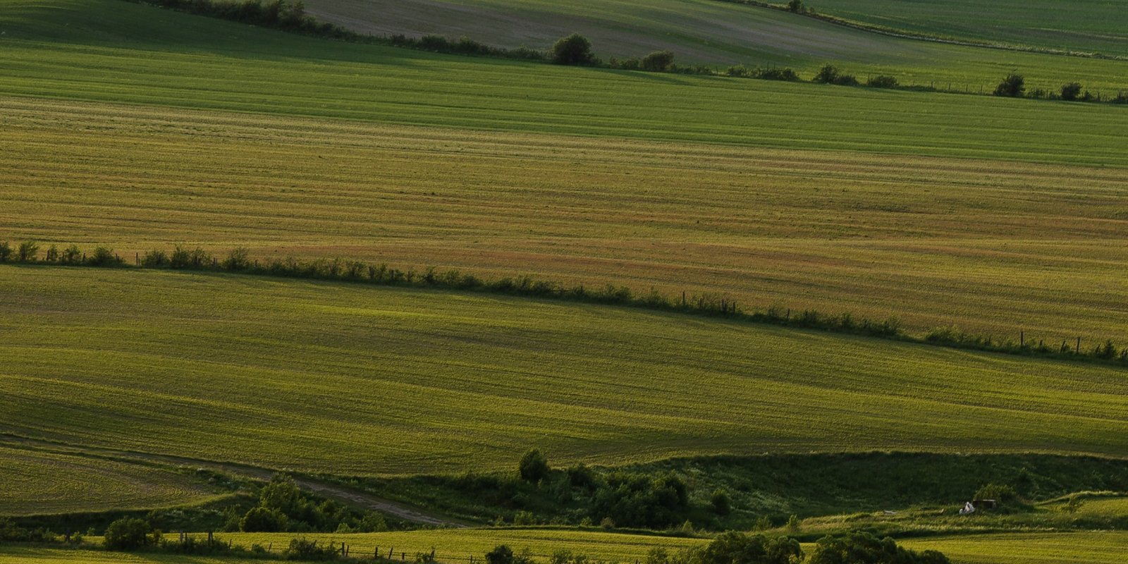 Our Approach to Sustainable Farming | ATV Farms